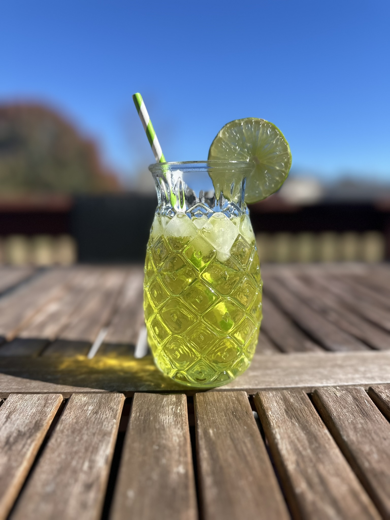 Gin Dew It- A Refreshing Twist - The Windsor Saloon